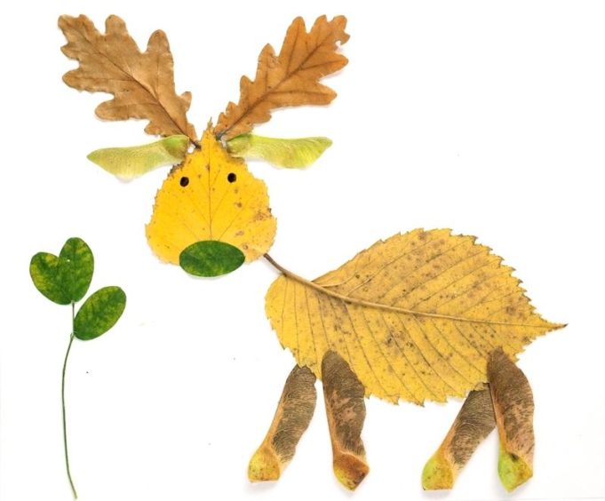 Kako napraviti životinje od lišća, postupak i primeri - Moje dete